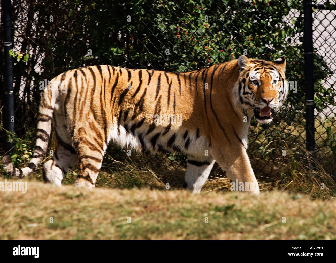 Zoo del parco alto immagini e fotografie stock ad alta risoluzione - Alamy
