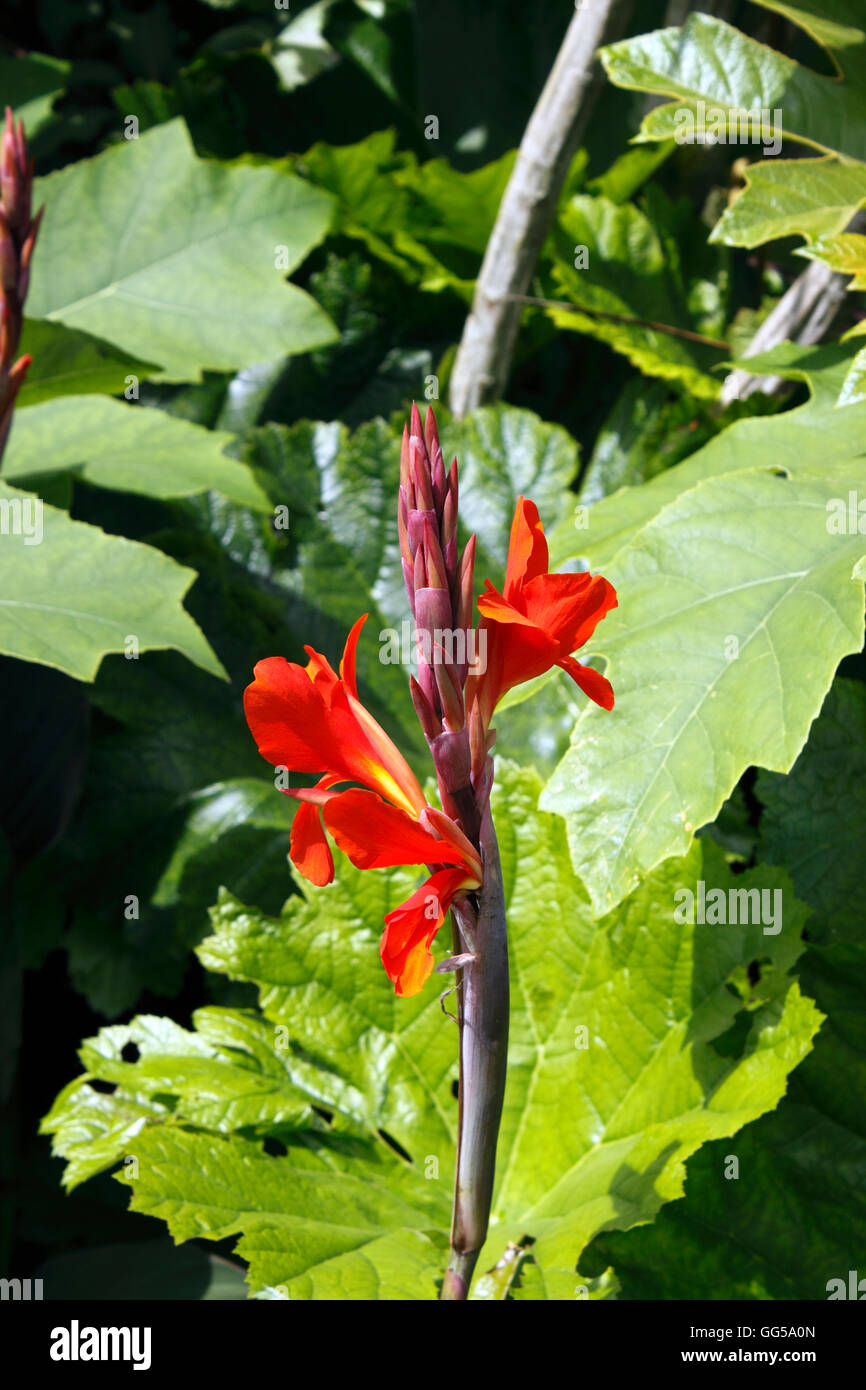 Confini indiani immagini e fotografie stock ad alta risoluzione - Alamy
