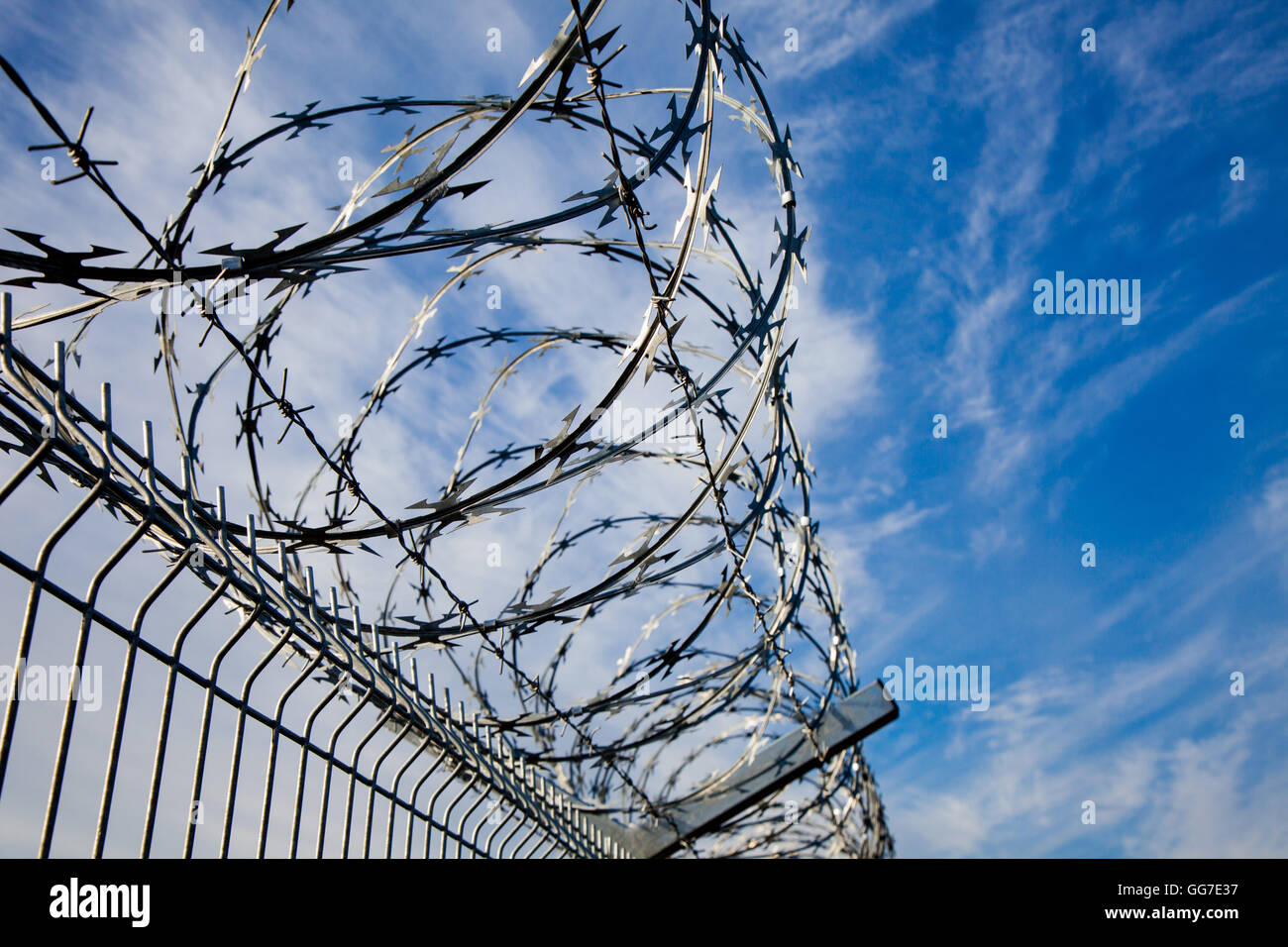 Filo Tagliente Come Un Rasoio Immagini e Fotos Stock - Alamy