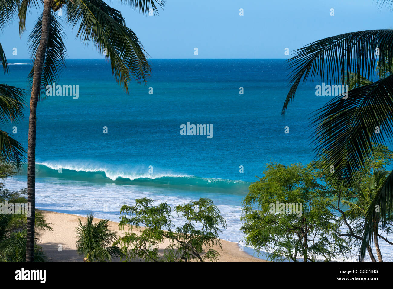 Isola oceanica immagini e fotografie stock ad alta risoluzione - Alamy