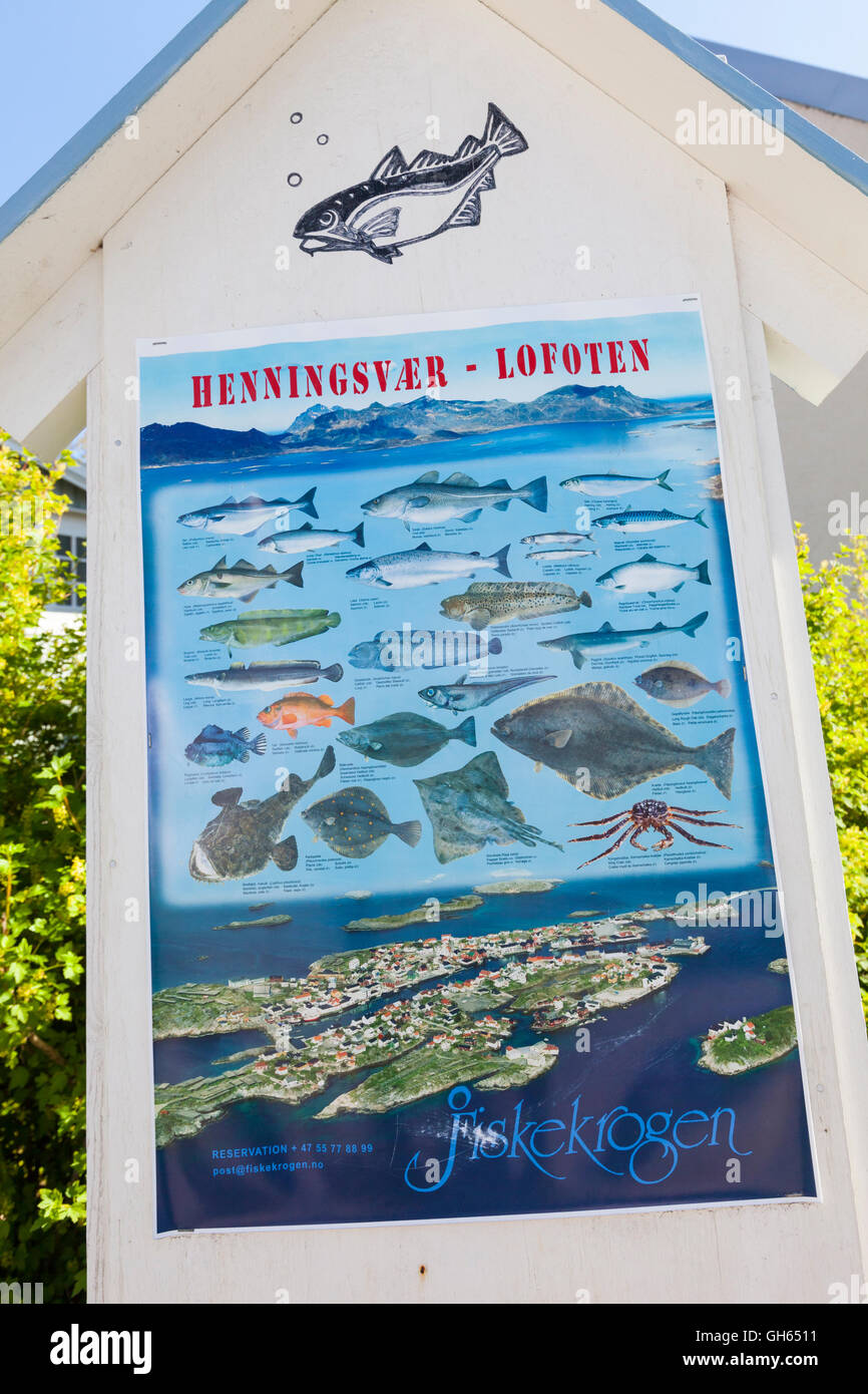 Ristorante Fiskekrogen, Henningsvaer, Isole Lofoten, Norvegia Foto ...
