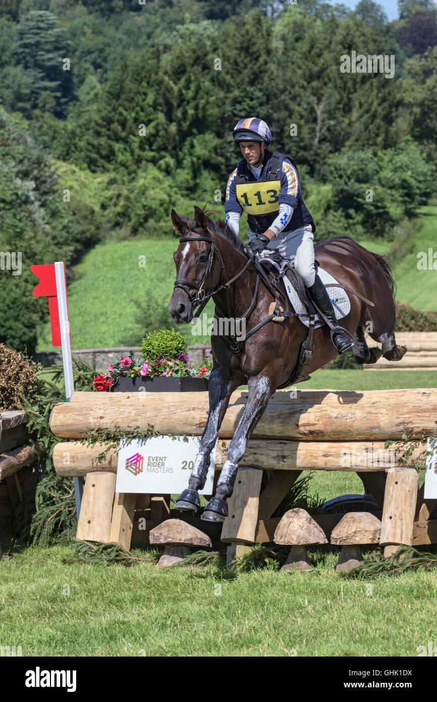 Cavallo sanguisuga immagini e fotografie stock ad alta risoluzione - Alamy