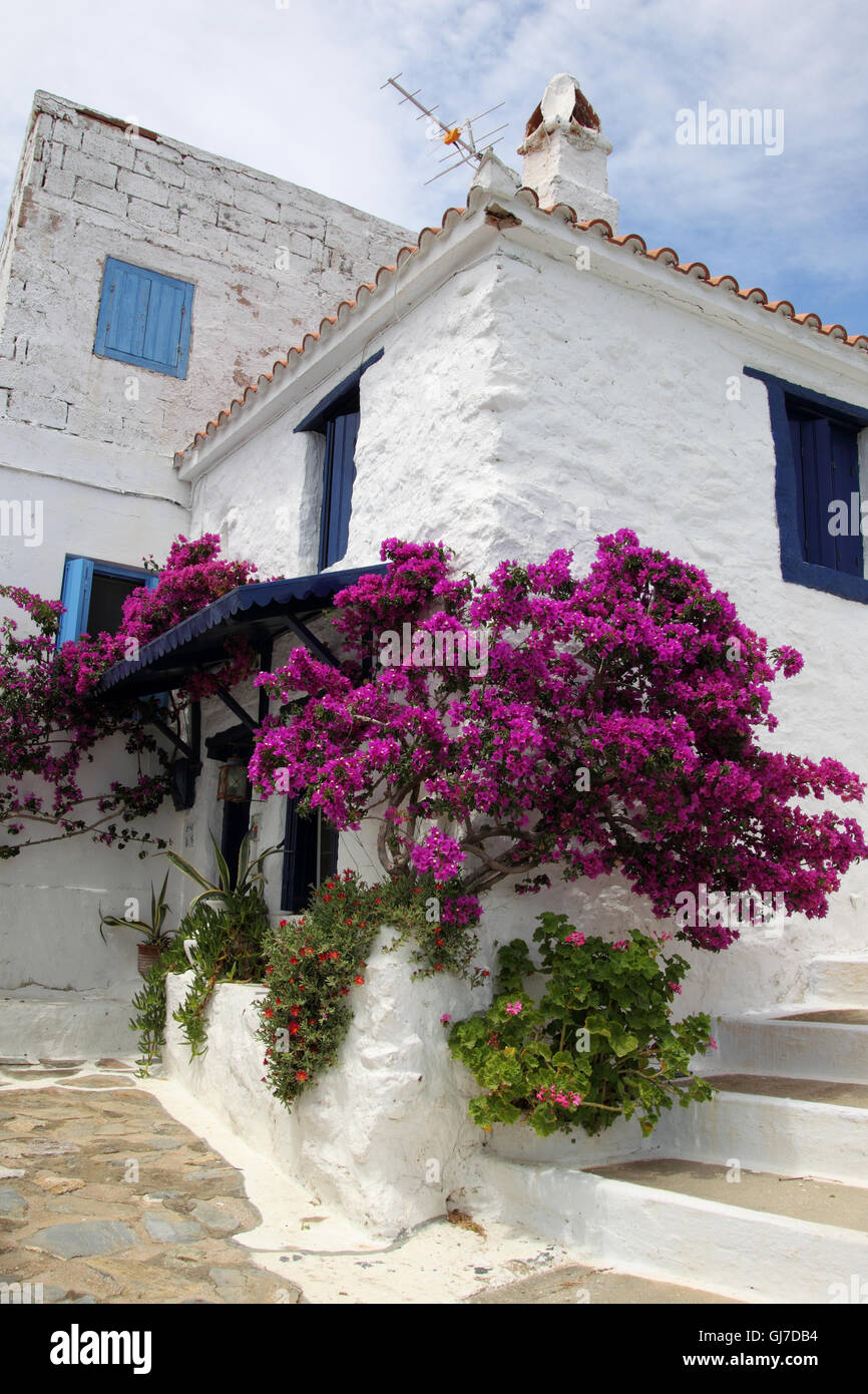 Tipica casa greca immagini e fotografie stock ad alta risoluzione - Alamy