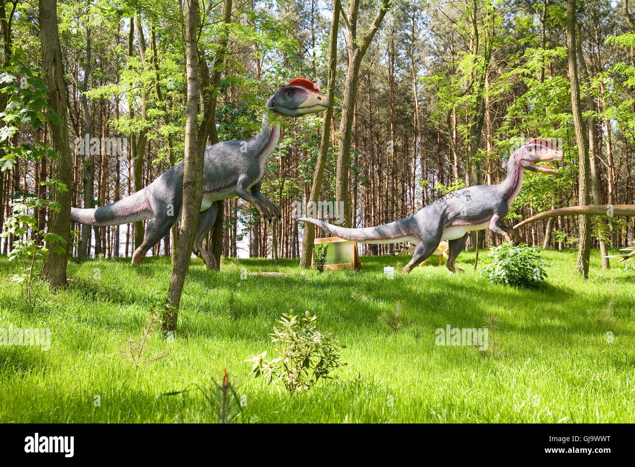 Dilophosaurus wetherilli immagini e fotografie stock ad alta ...