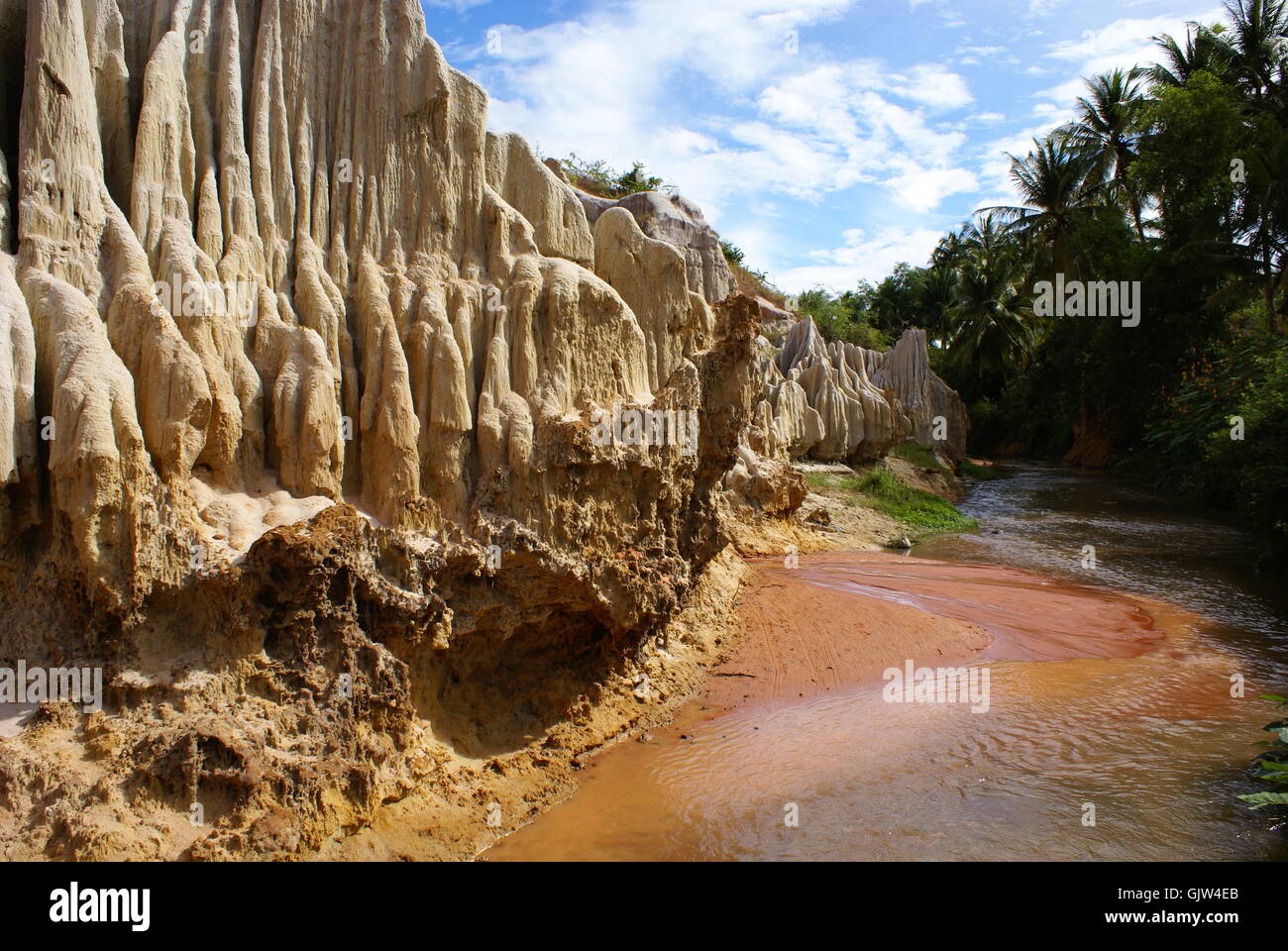 Jungle river immagini e fotografie stock ad alta risoluzione - Alamy