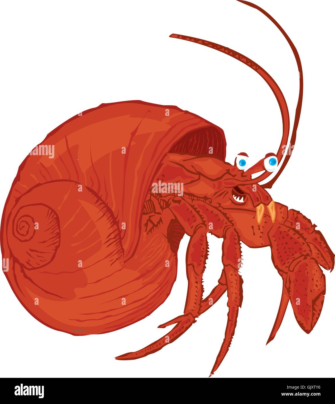 Paguro disegno Immagini Vettoriali Stock - Alamy