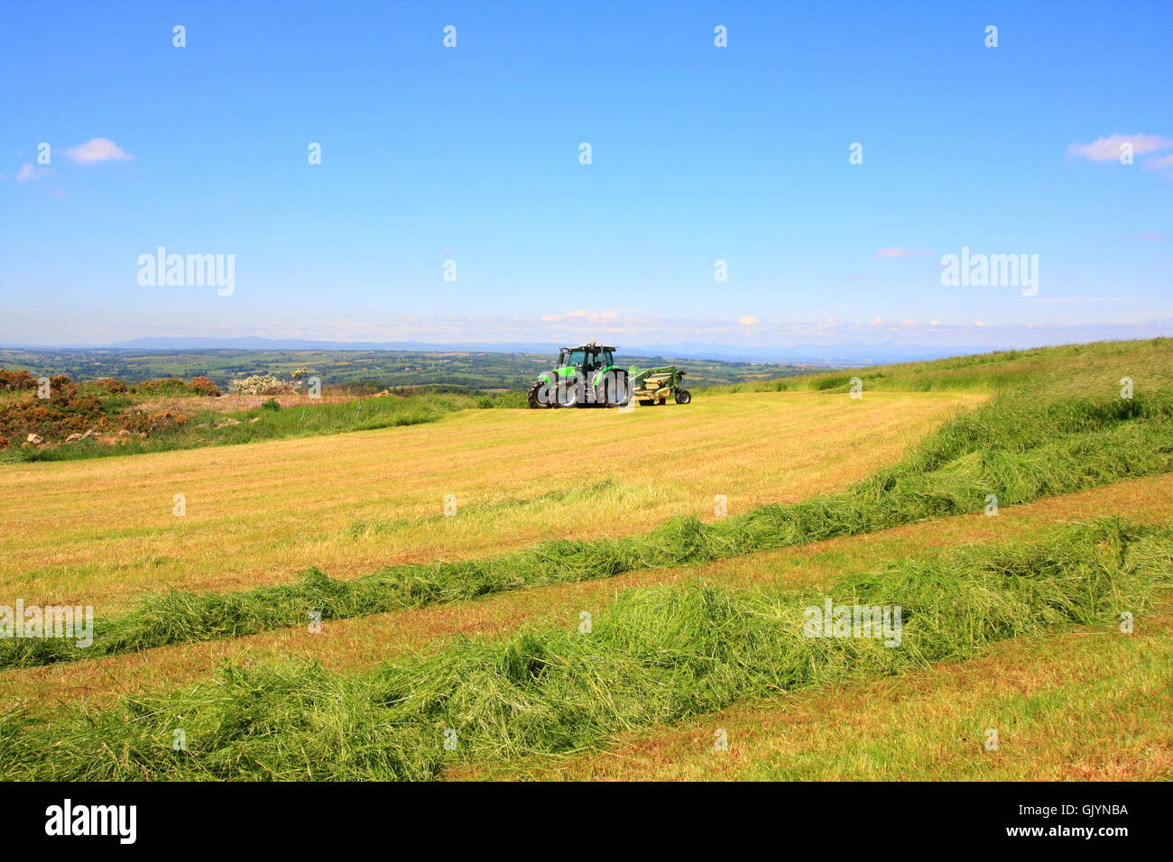 Stagione della fienagione immagini e fotografie stock ad alta ...