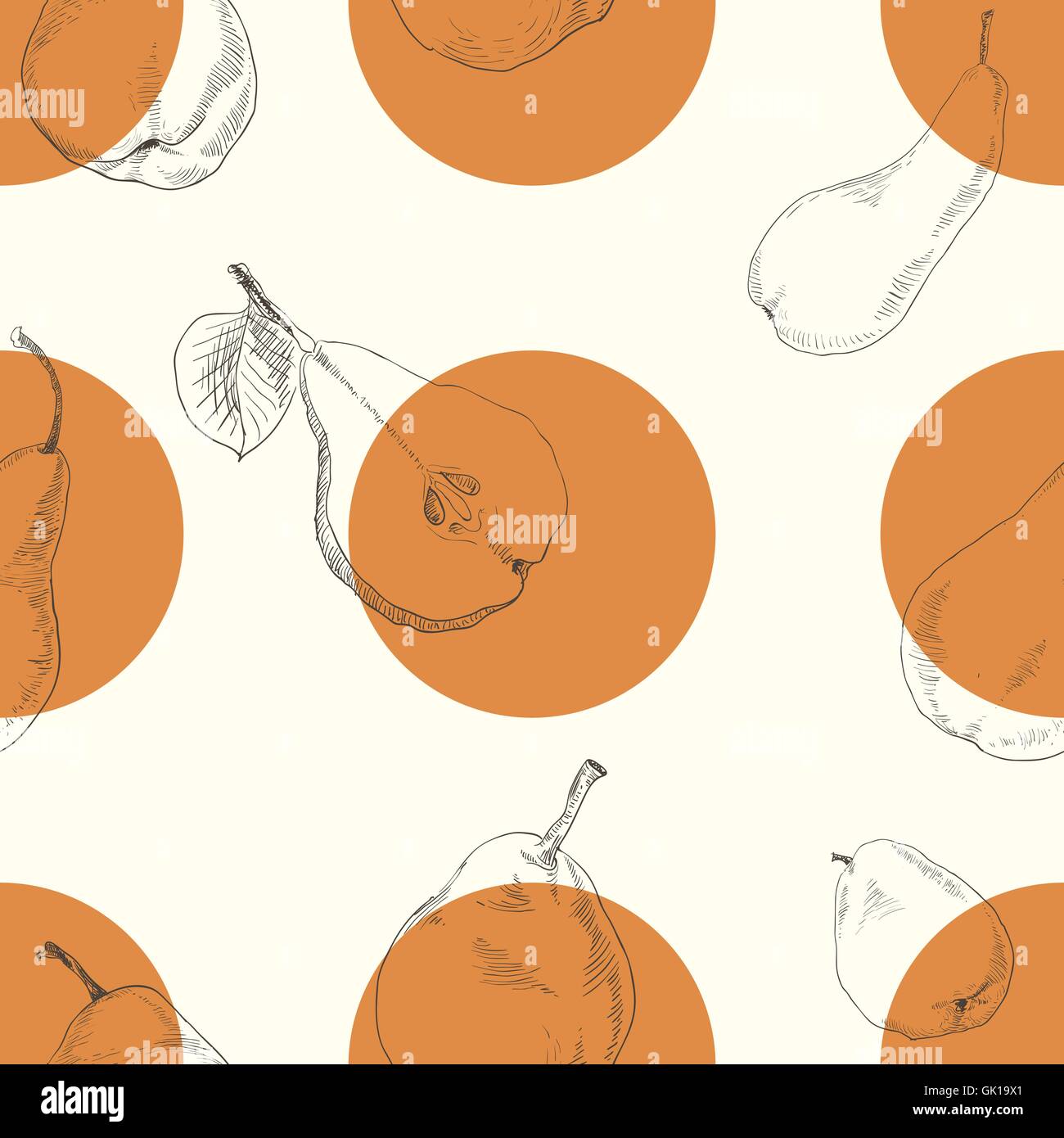 Disegno di una pera Immagini Vettoriali Stock - Alamy