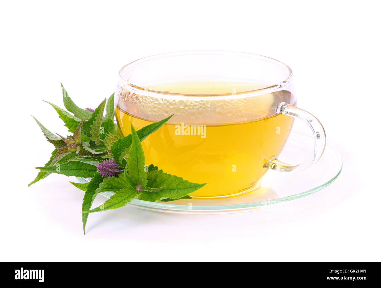 Pianta di anice immagini e fotografie stock ad alta risoluzione - Alamy