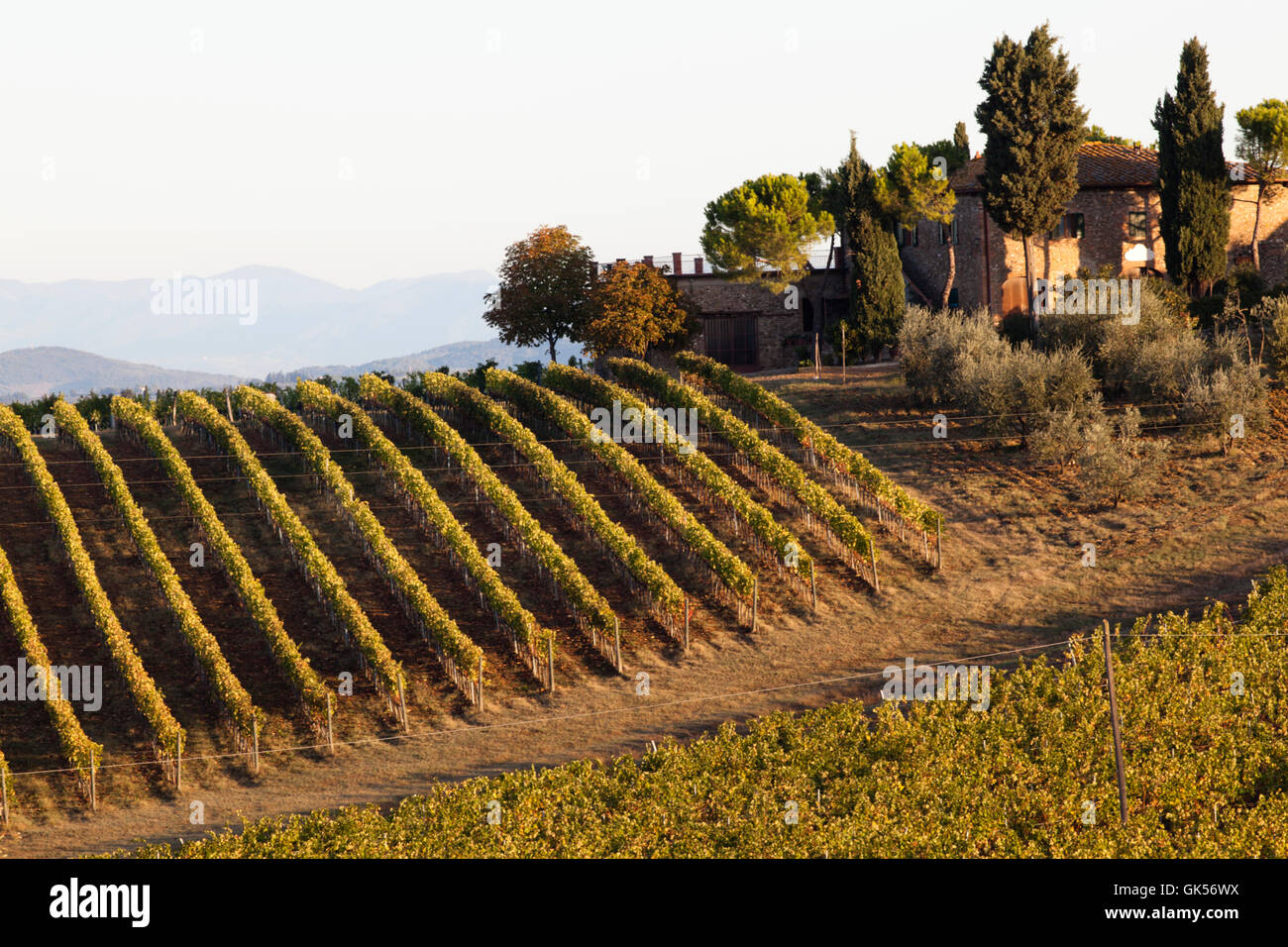 Scenario toscano immagini e fotografie stock ad alta risoluzione - Alamy