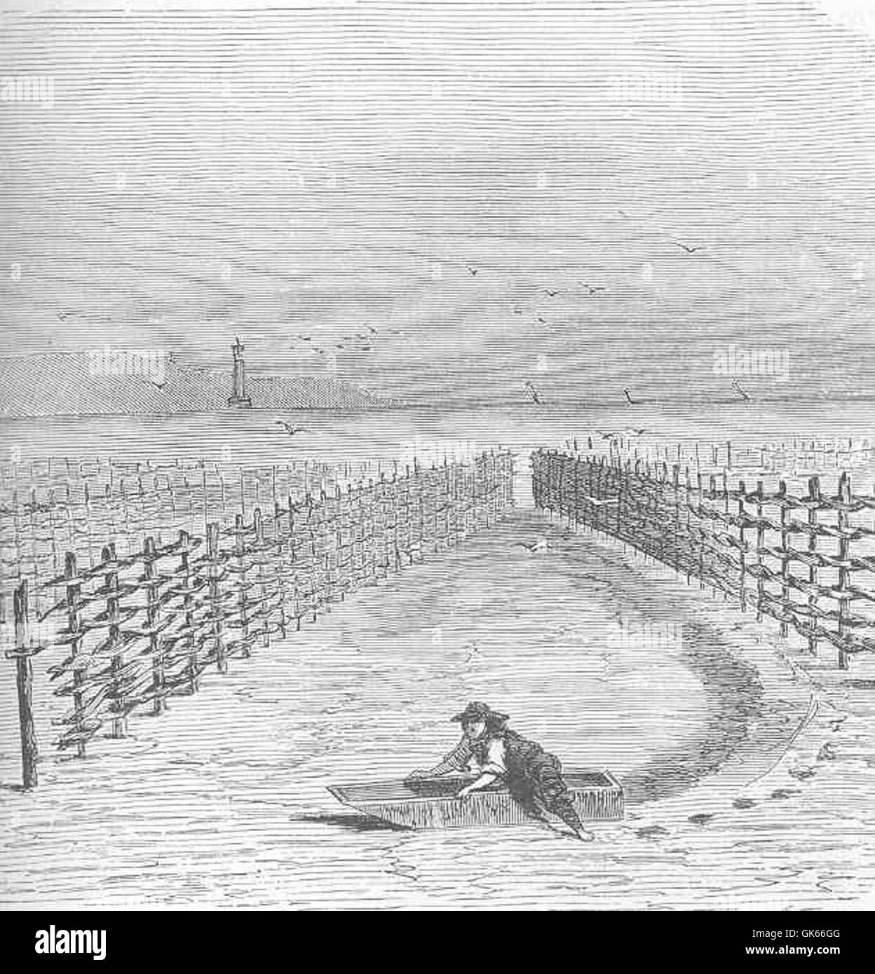 Piroga antica immagini e fotografie stock ad alta risoluzione - Alamy