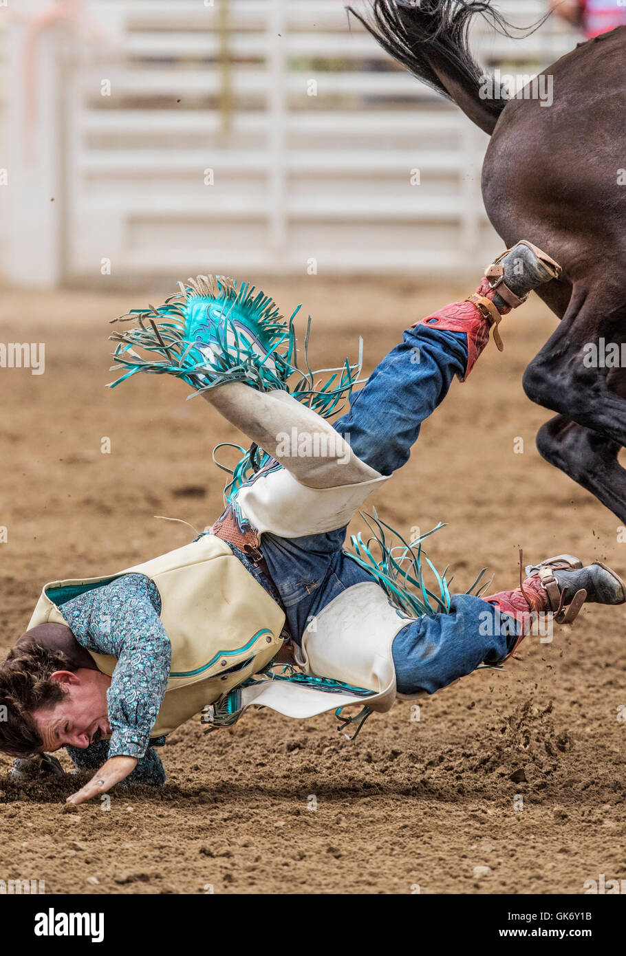 Rodeo cowboy a cavallo di un cavallo di strappi, saddle bronc ...