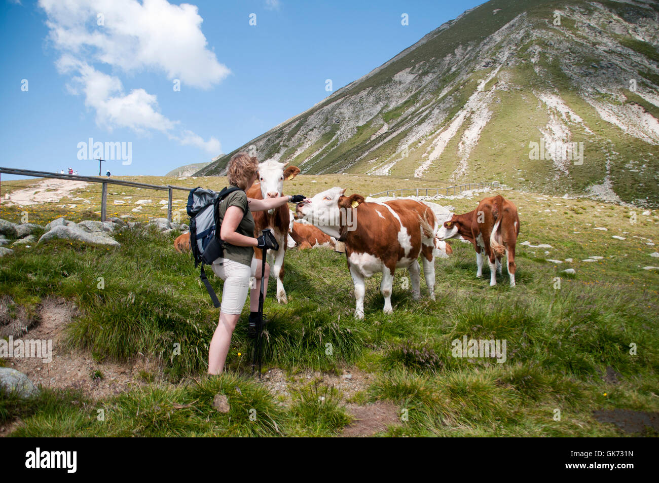 Pascolo e montagne immagini e fotografie stock ad alta risoluzione - Alamy