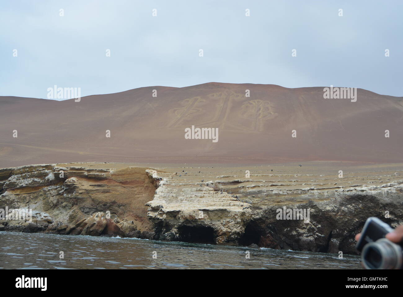 Becco paracas immagini e fotografie stock ad alta risoluzione - Alamy
