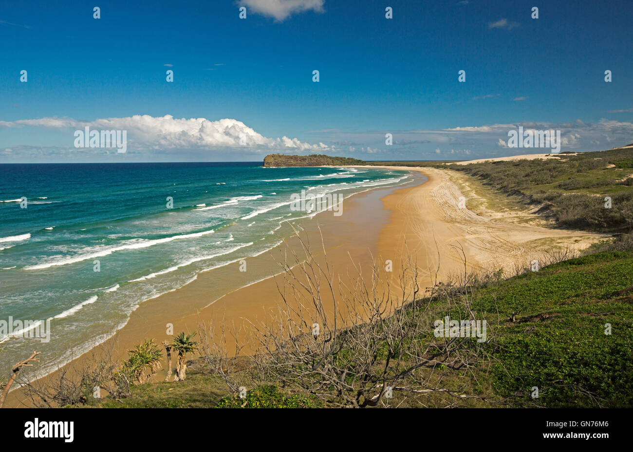 Migliori spiagge in australia immagini e fotografie stock ad alta ...