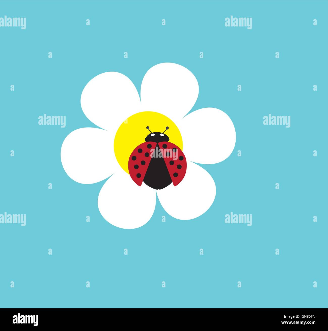 Insetti carini Immagini Vettoriali Stock - Alamy