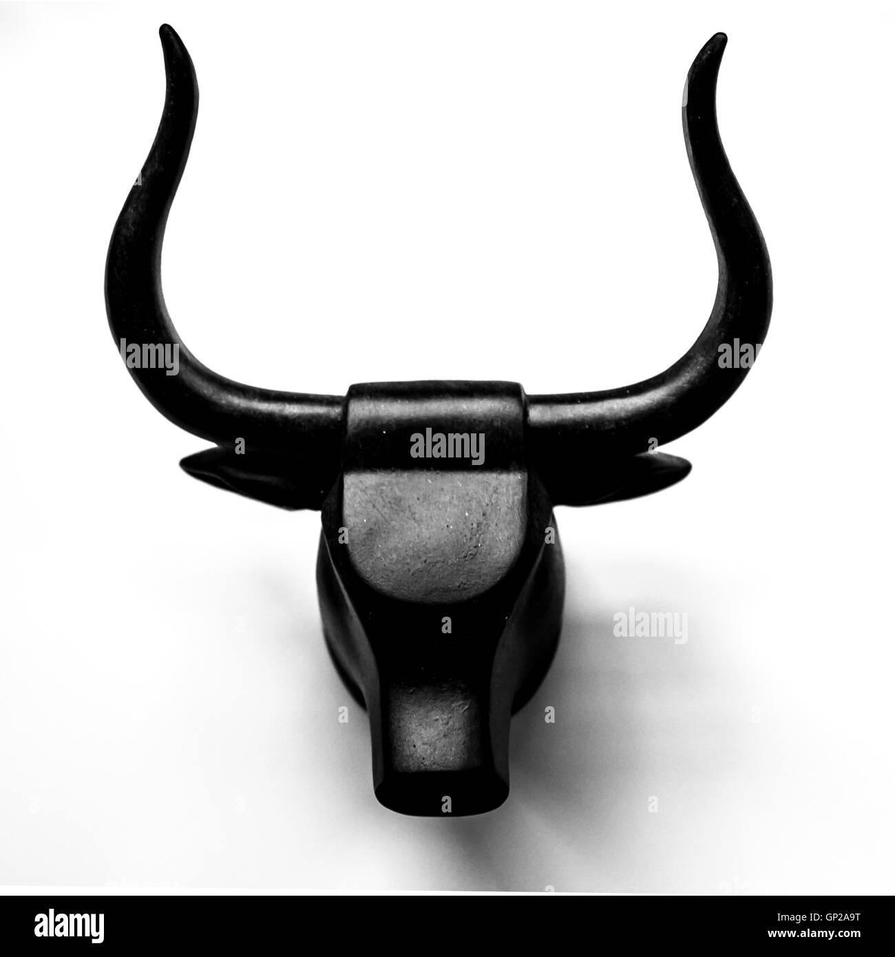 Bulls nose immagini e fotografie stock ad alta risoluzione - Alamy