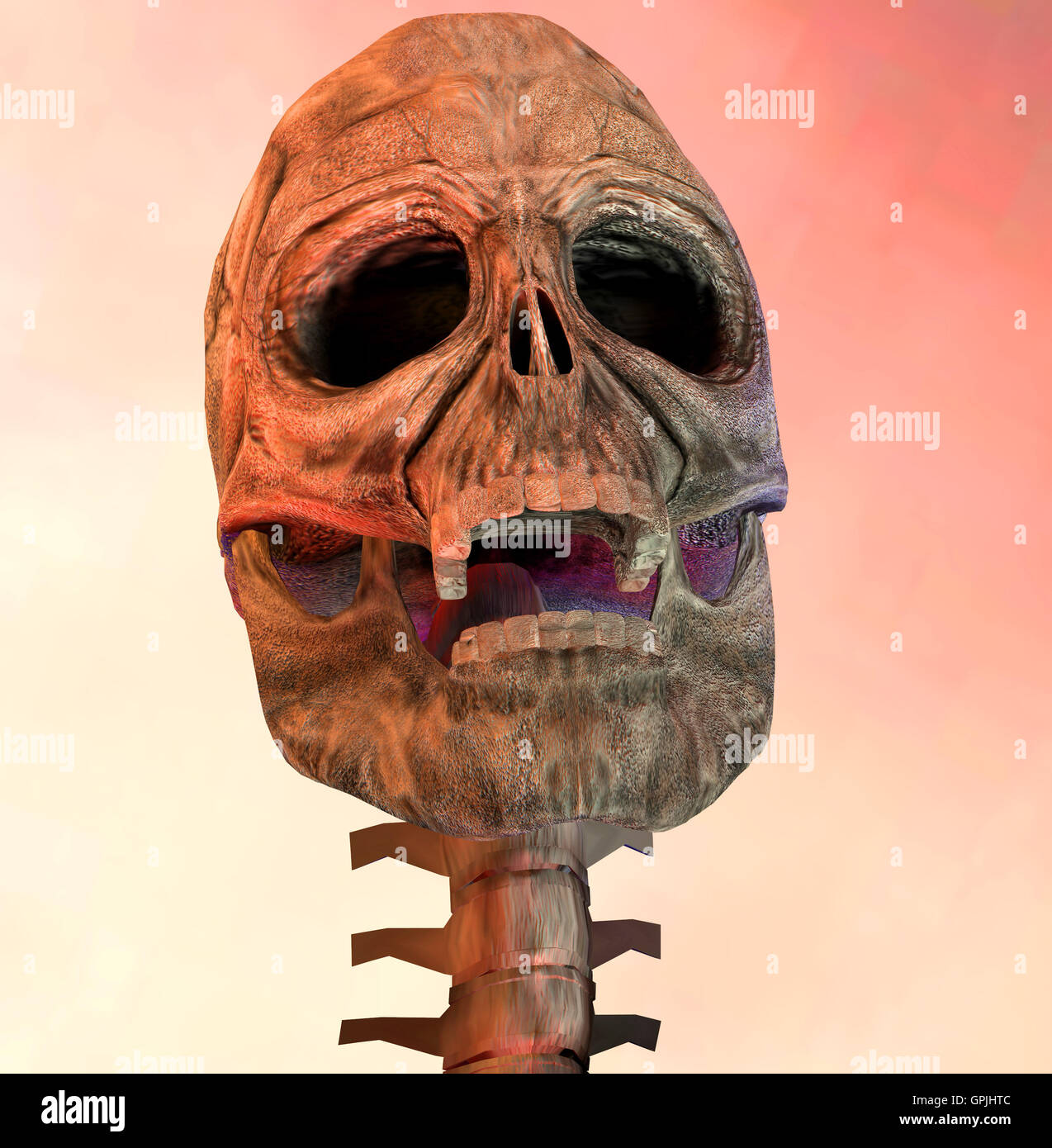 Anatomia della testa umana immagini e fotografie stock ad alta ...