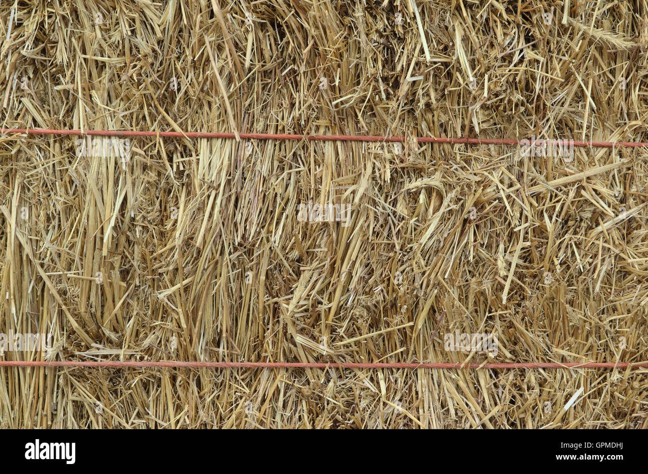 Pile di paglia coltivando sfondi e trame agricole immagini e fotografie ...