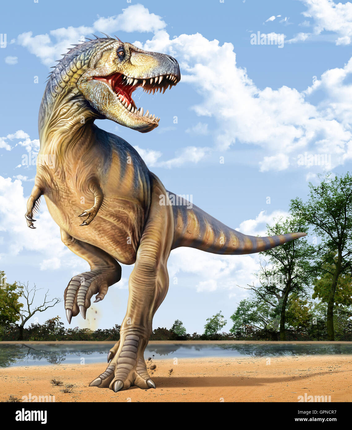 Periodo cretaceo immagini e fotografie stock ad alta risoluzione - Alamy