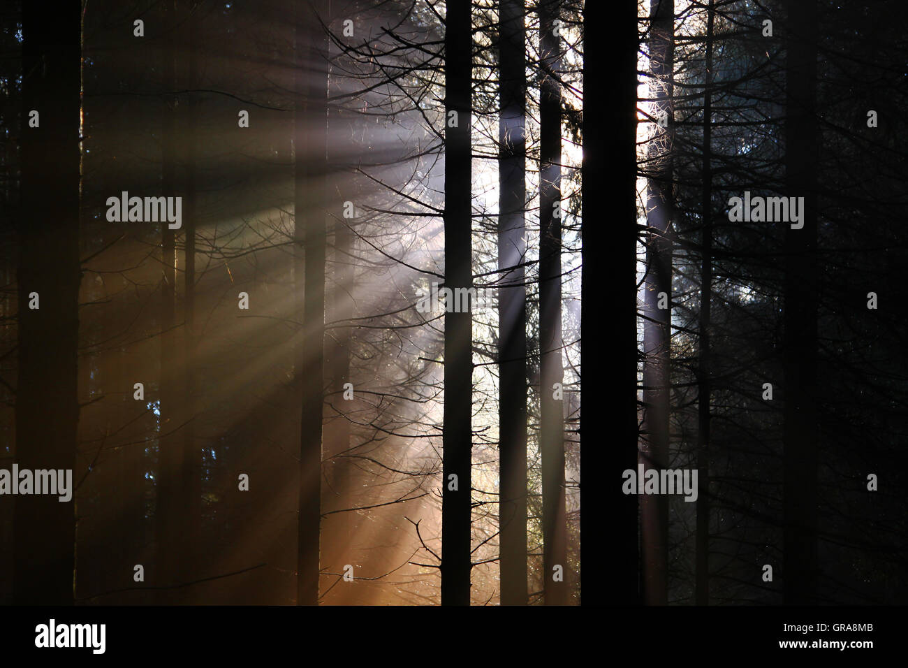 Domani sole immagini e fotografie stock ad alta risoluzione - Alamy