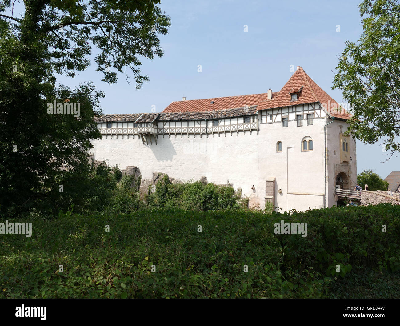 Boschi della turingia immagini e fotografie stock ad alta risoluzione ...
