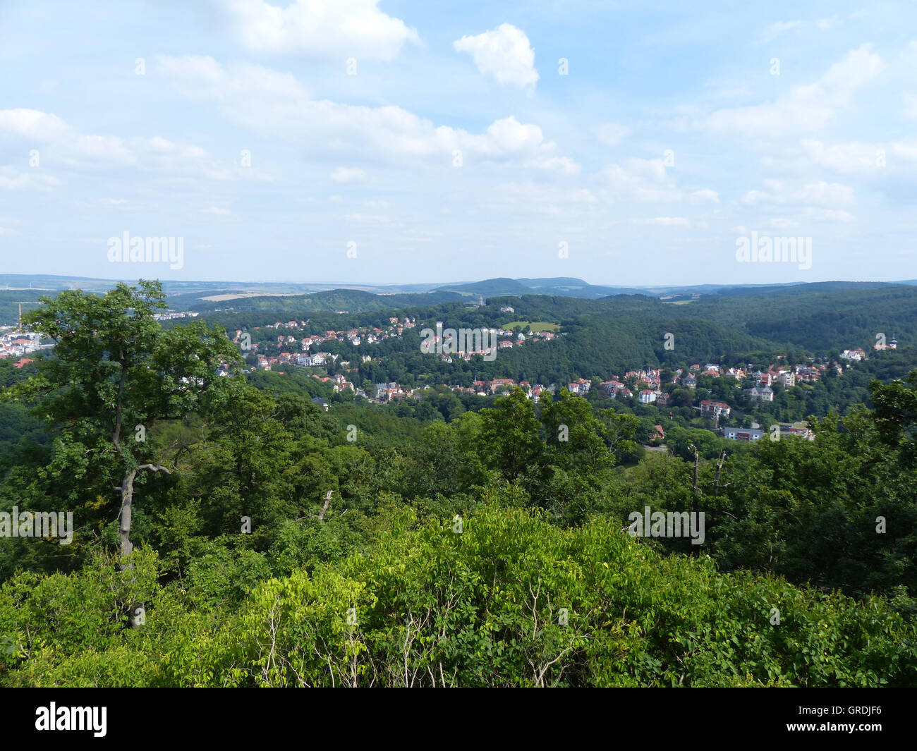 Boschi della turingia immagini e fotografie stock ad alta risoluzione ...