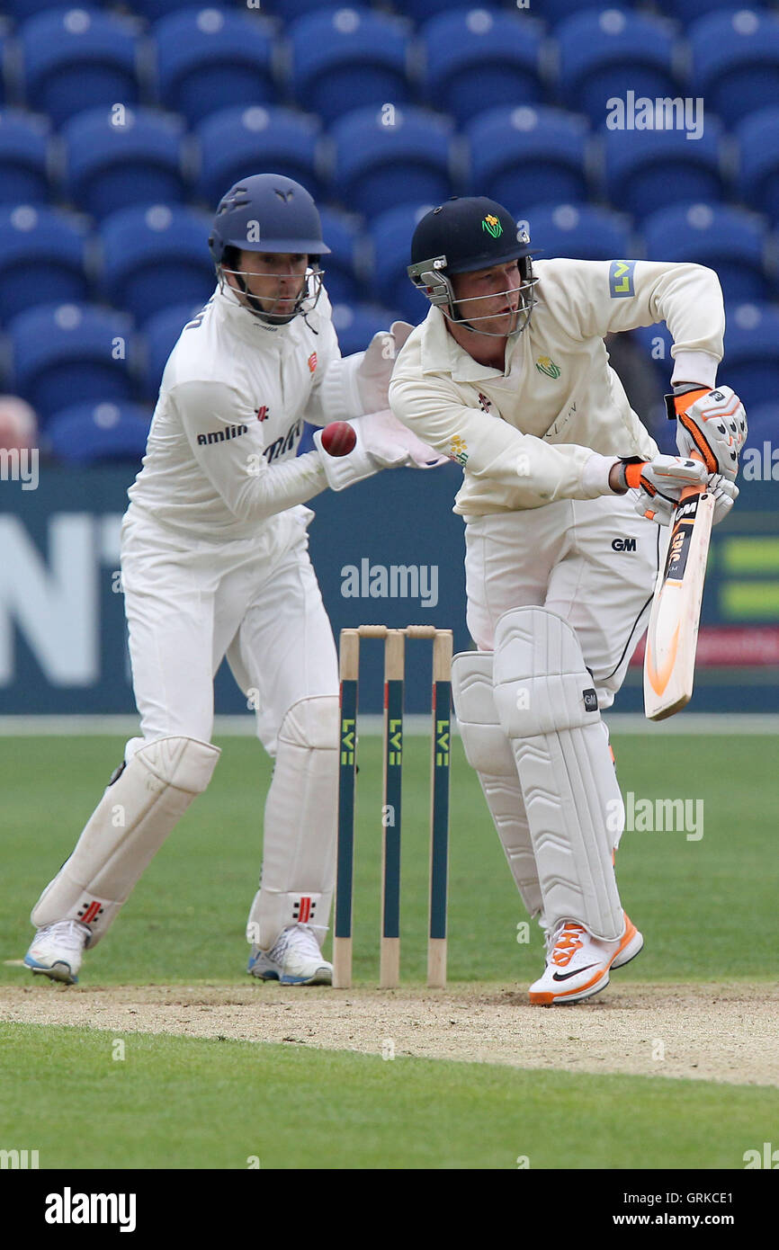 Graham Wagg in azione di ovatta per Glamorgan con James Foster dietro i ...
