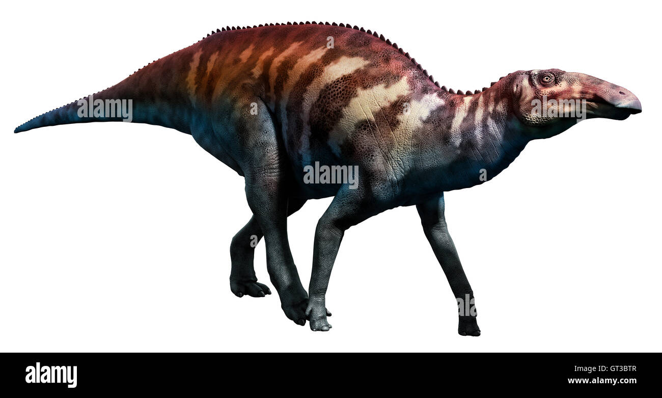 Edmontosaurus dinosaur immagini e fotografie stock ad alta risoluzione ...