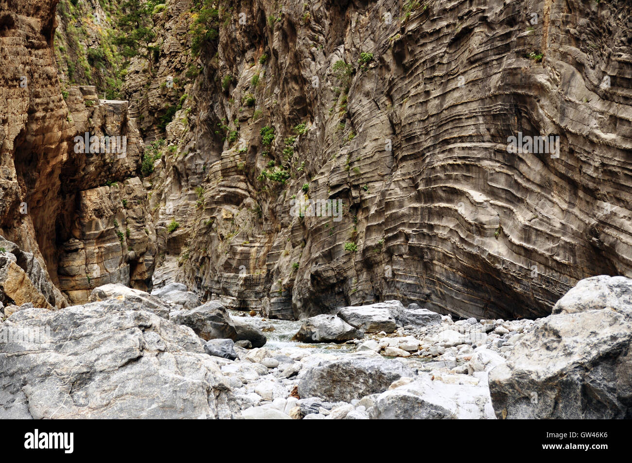 Progettazioni di roccia lungo le pareti della gola Klados, Creta ...
