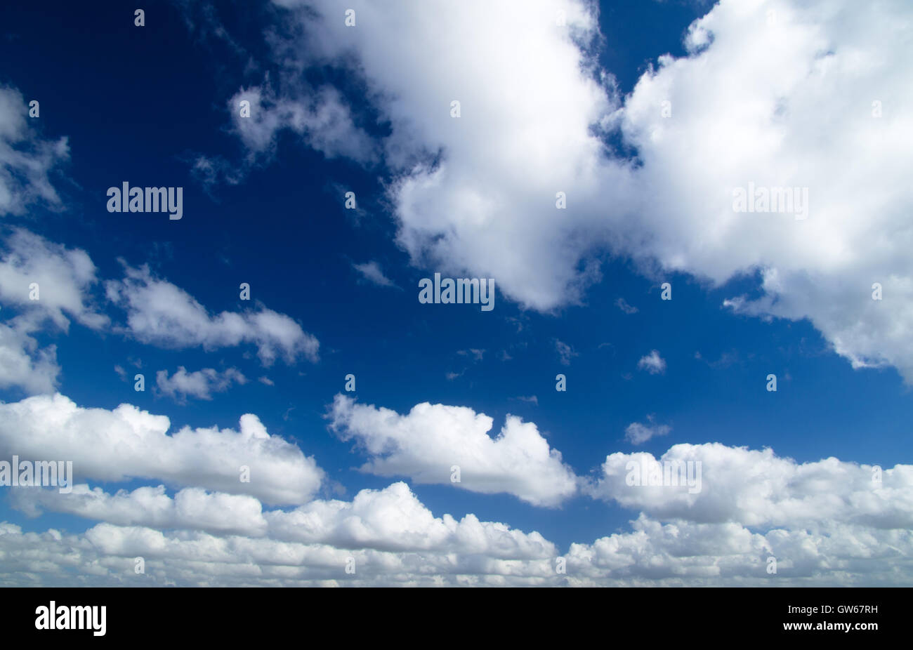 Sfondo blu ciano immagini e fotografie stock ad alta risoluzione - Alamy