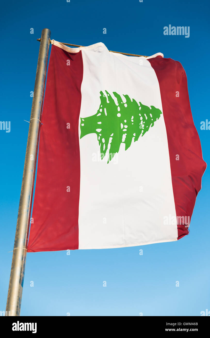 National emblem of lebanon immagini e fotografie stock ad alta ...