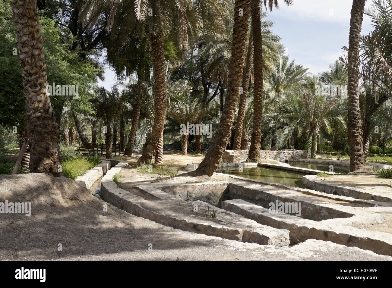 Falaj (sistema di irrigazione) in data Palm grove, Hatta Heritage ...