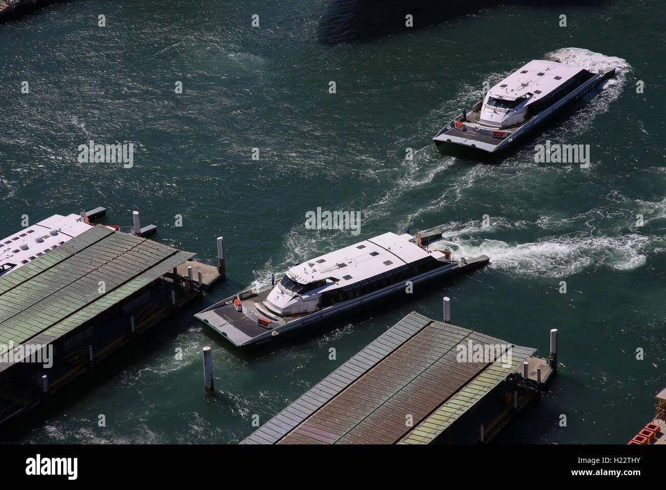 Vista aerea del rivercat Parramatta classe i traghetti in arrivo e in ...