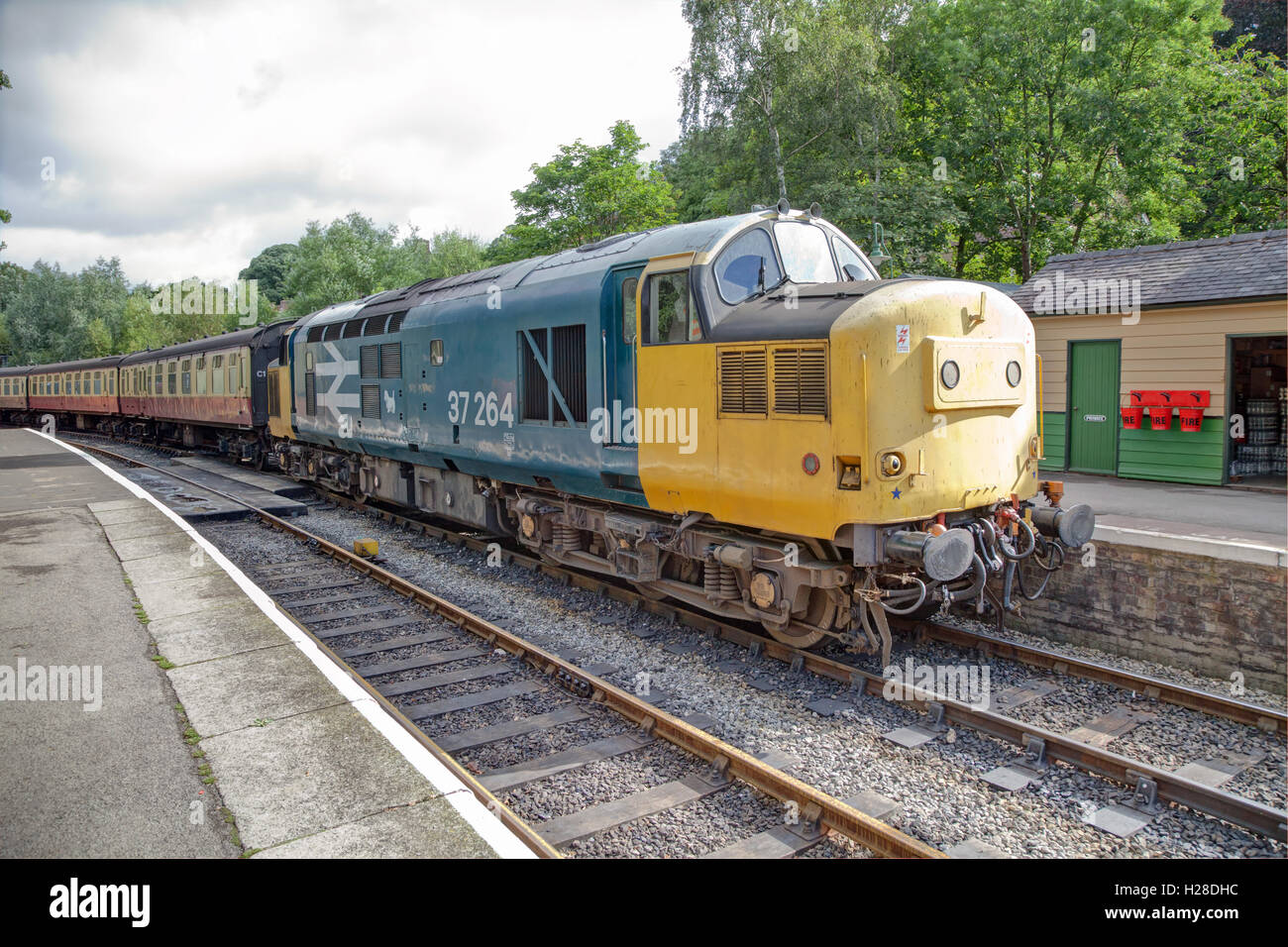 Locomotiva diesel elettrica classe 37 della british rail immagini e ...