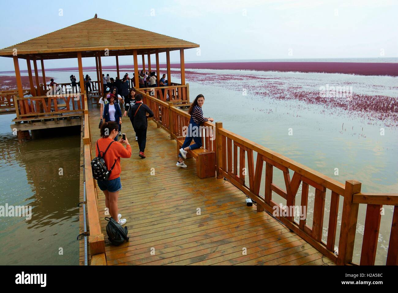 Red beach, panjin, china immagini e fotografie stock ad alta ...