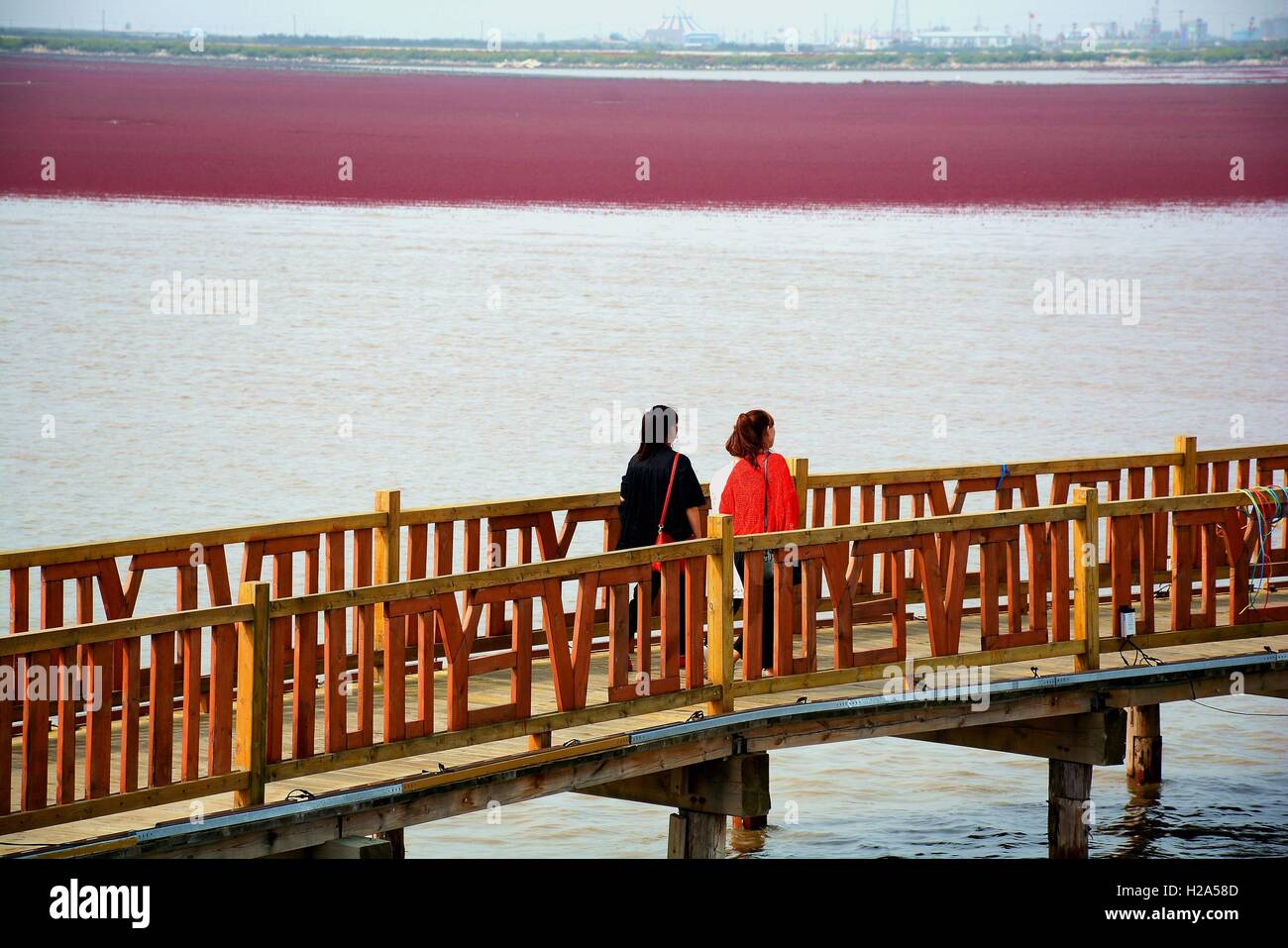 Red beach, panjin, china immagini e fotografie stock ad alta ...