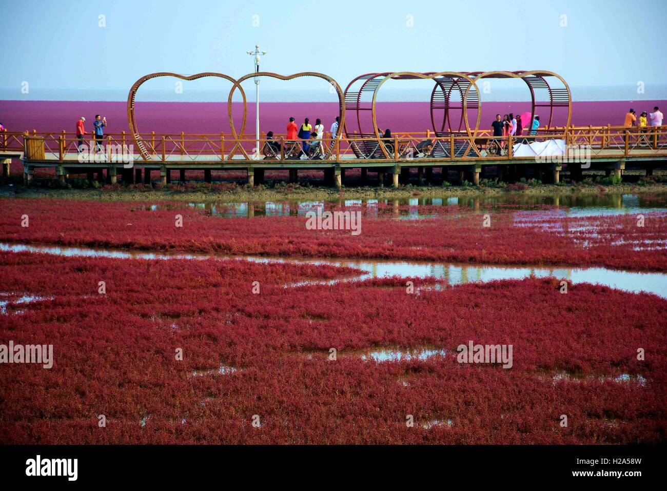 Red beach, panjin, china immagini e fotografie stock ad alta ...