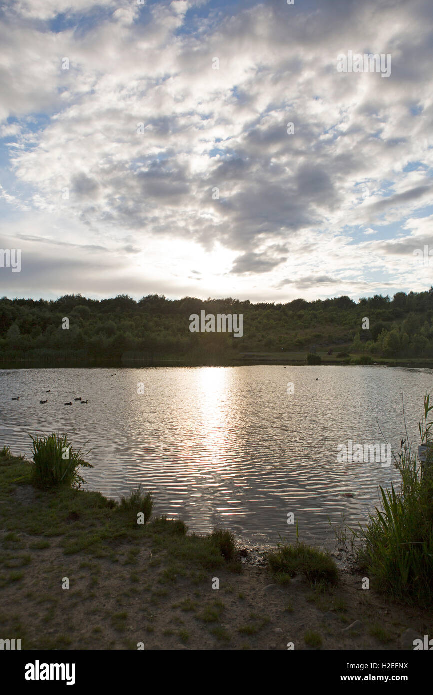 Gateshead del parco forestale di watergate immagini e fotografie stock ...