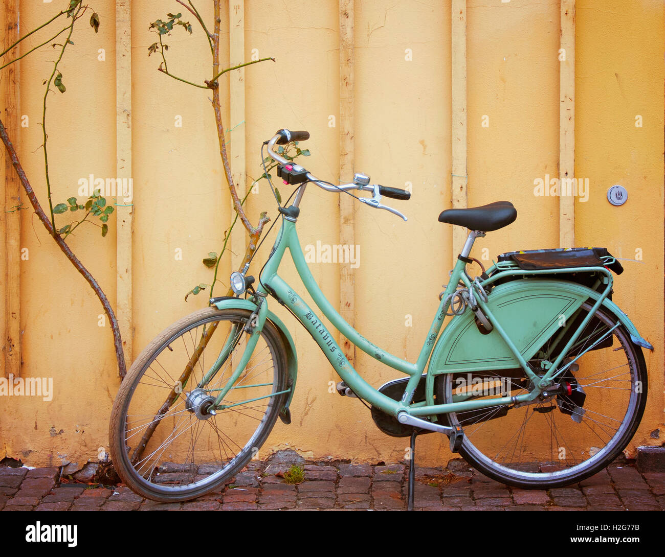 Cultura della bici immagini e fotografie stock ad alta risoluzione - Alamy