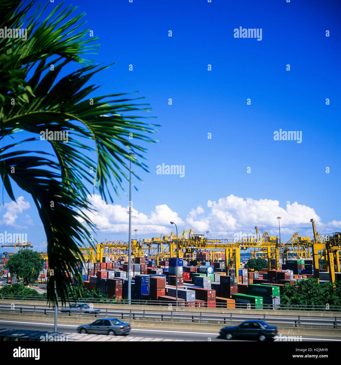 Terminal container psa immagini e fotografie stock ad alta risoluzione ...