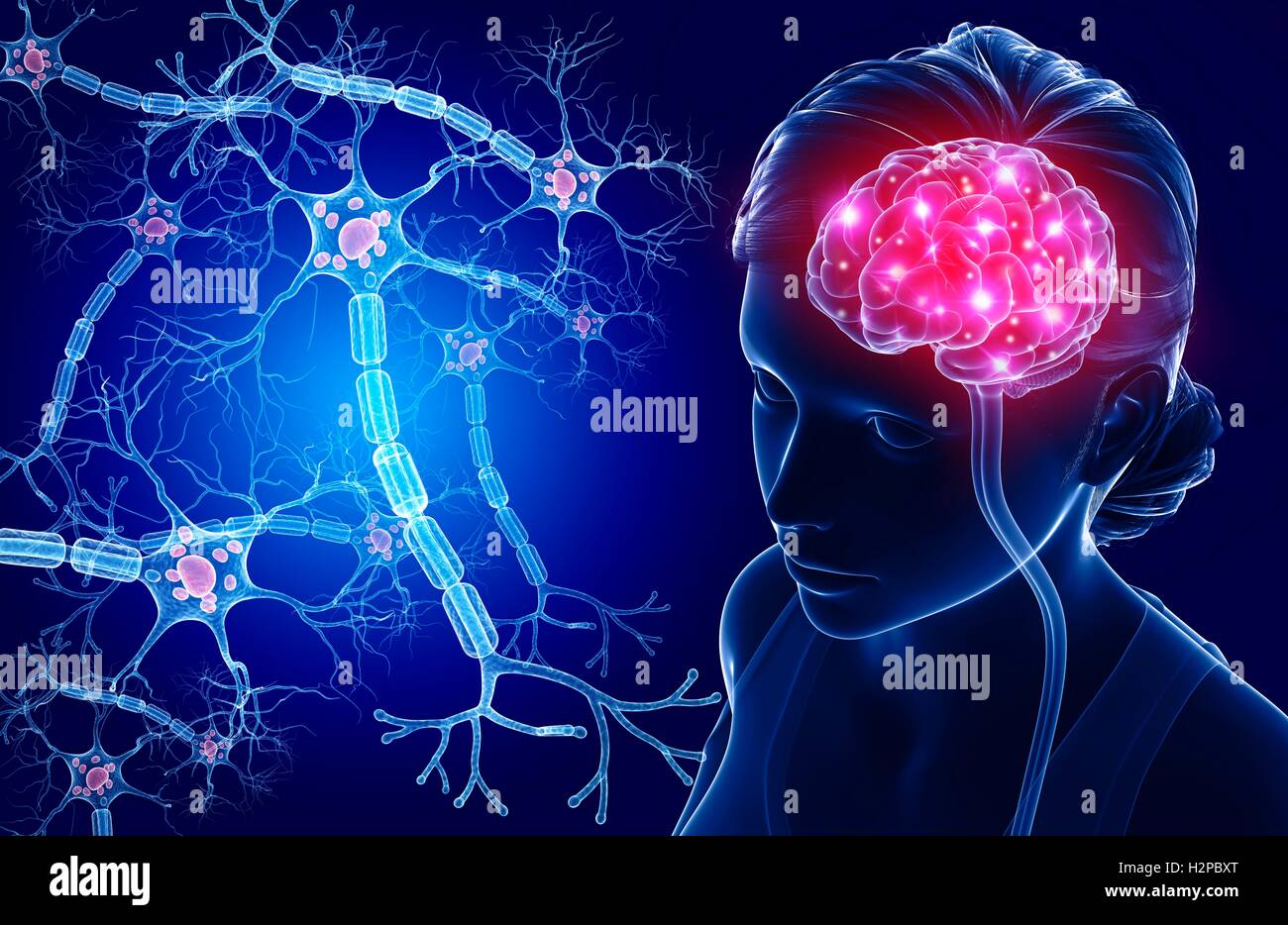 Cellule nervose del cervello umano immagini e fotografie stock ad alta ...