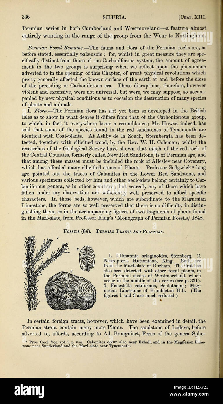 *Siluria* di Roderick Murchison è un lavoro geologico incentrato sullo ...
