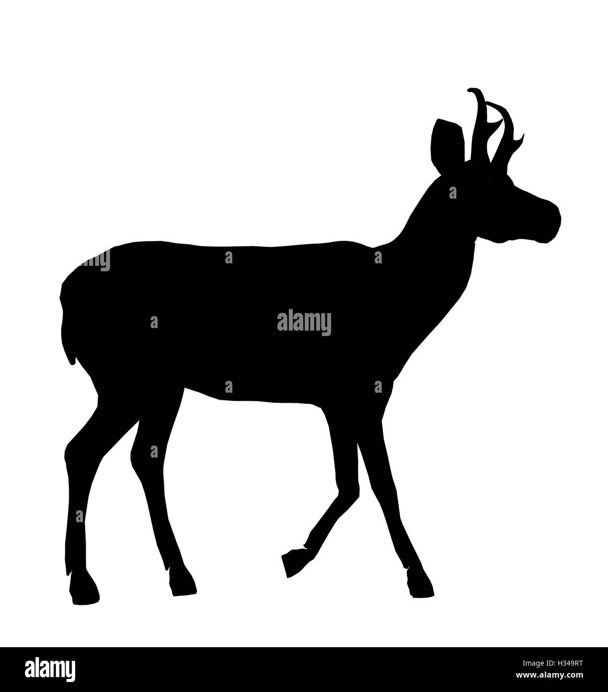 Illustrazione di cervo sagoma Foto e Immagini Stock in Bianco e Nero ...