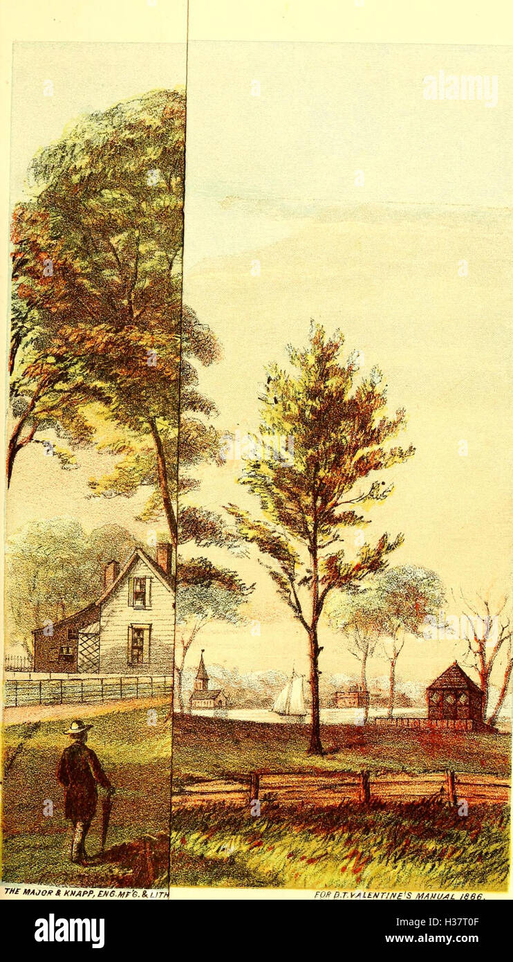 Leggi di new york immagini e fotografie stock ad alta risoluzione - Alamy