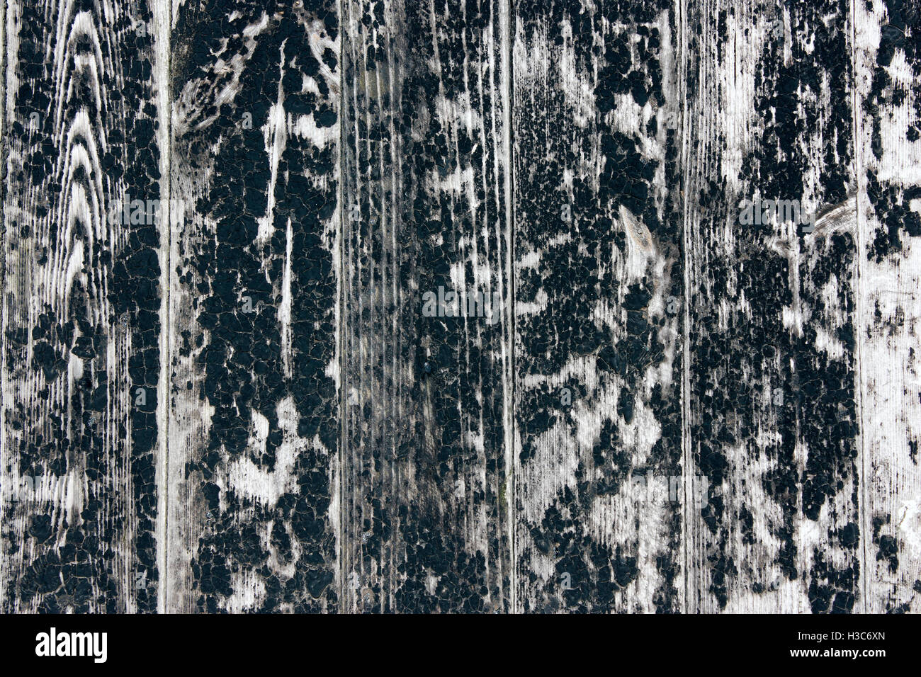 Vecchio pavimento in legno immagini e fotografie stock ad alta ...