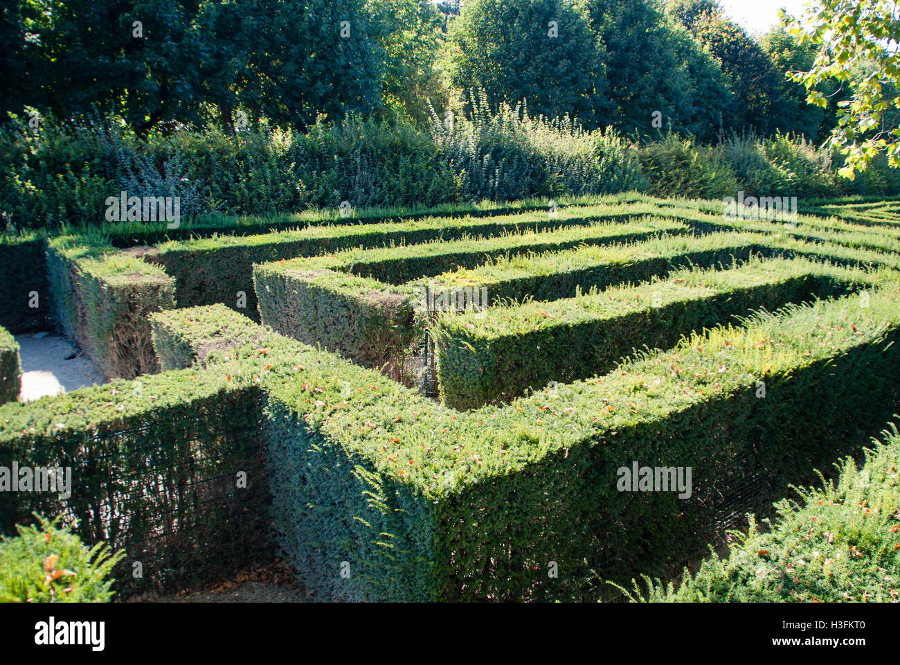 Labirinto di schonbrunn immagini e fotografie stock ad alta risoluzione ...