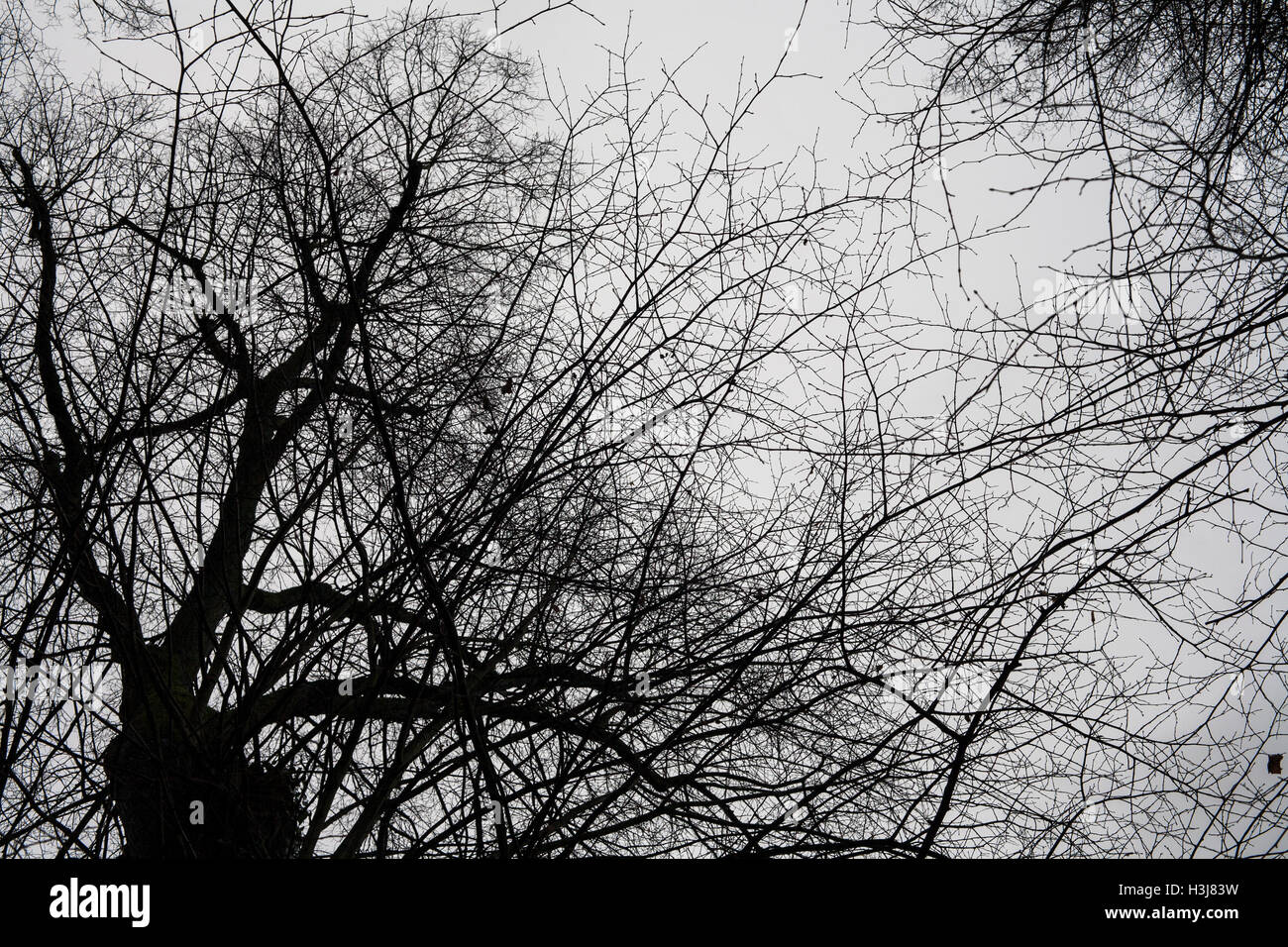 Sagoma in bianco e nero immagini e fotografie stock ad alta risoluzione ...