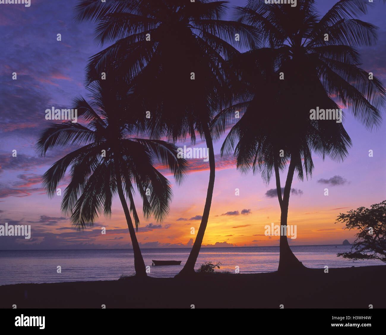 Martinica, St. Anne, Palm Beach, mare, atmosfera serale, nelle Antille ...