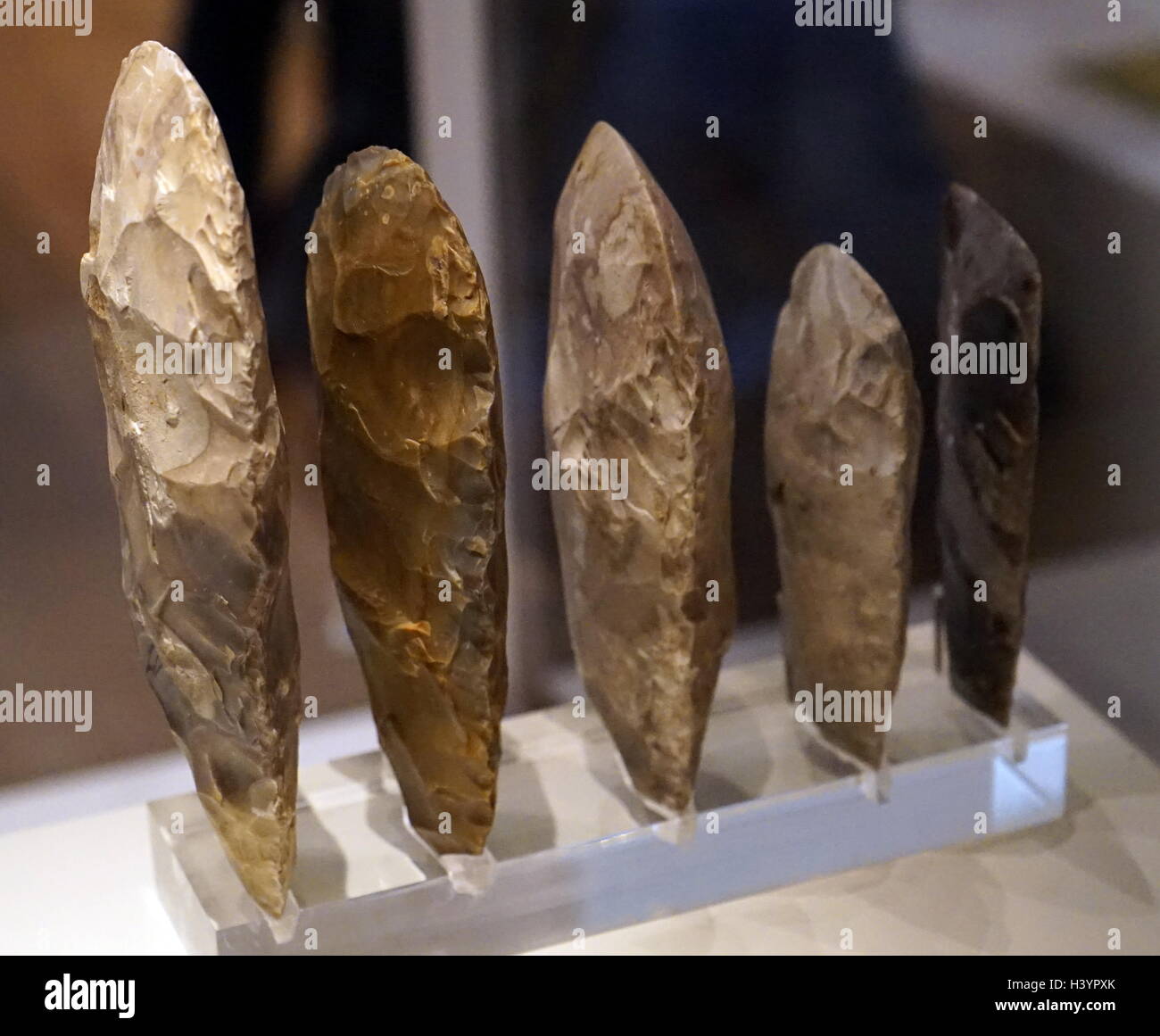 Tardo neolitico immagini e fotografie stock ad alta risoluzione - Alamy